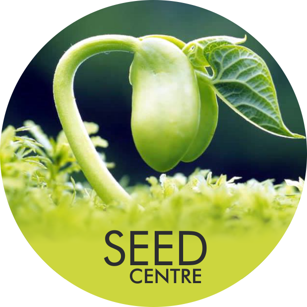 LIVING SEED GBOKO